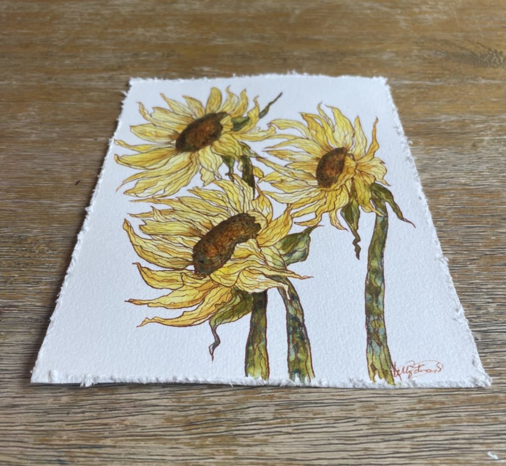 Sunflowers – Kelly Edwards Art